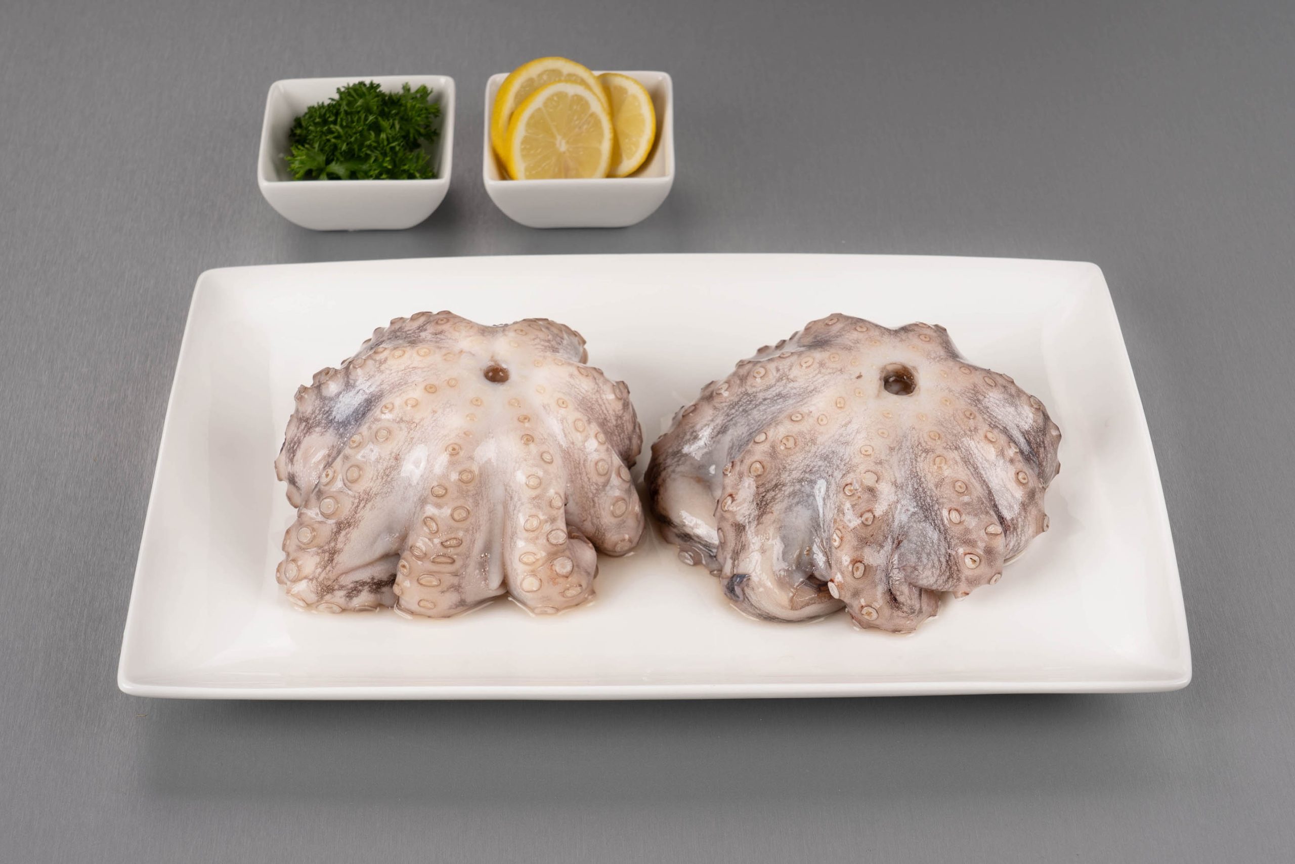 Octopus Flower - Fiskano